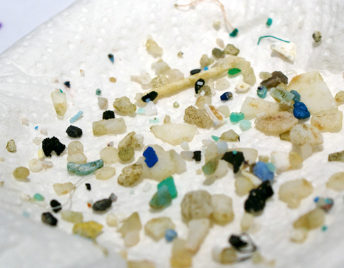 Plastic particles in the ocean may be as harmful as plastic bags ...