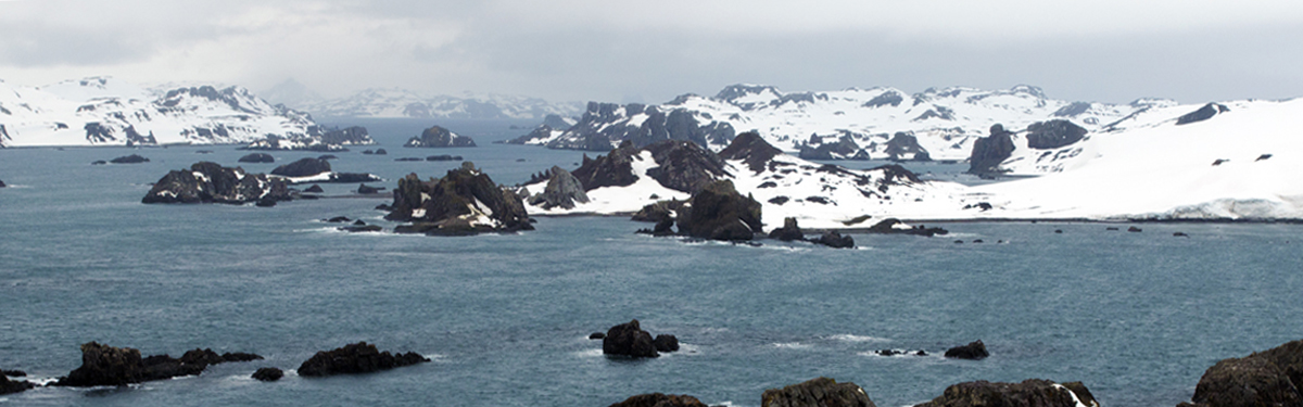 Milestone for polar protection as comprehensive new ship regulations ...
