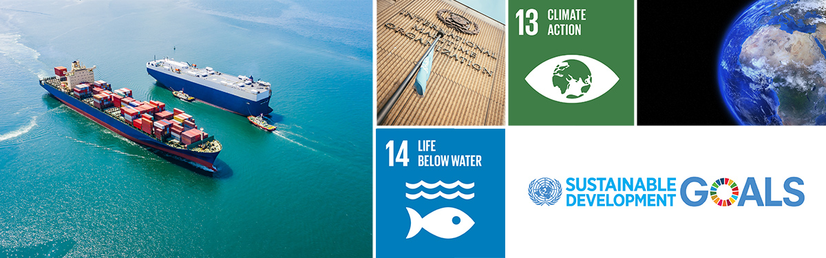 World Maritime theme for 2020: "Sustainable shipping for a sustainable ...