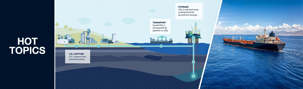 Carbon Capture and Storage (CCS)