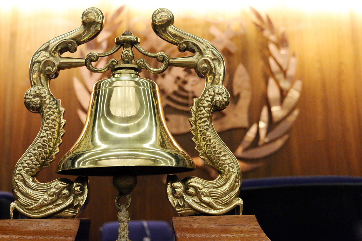 2026-2027 IMO Council elected