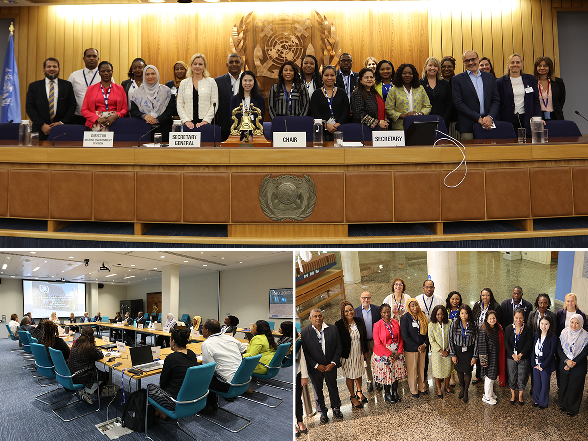 Drafting National Legislation for IMO Instrument Implementation ...