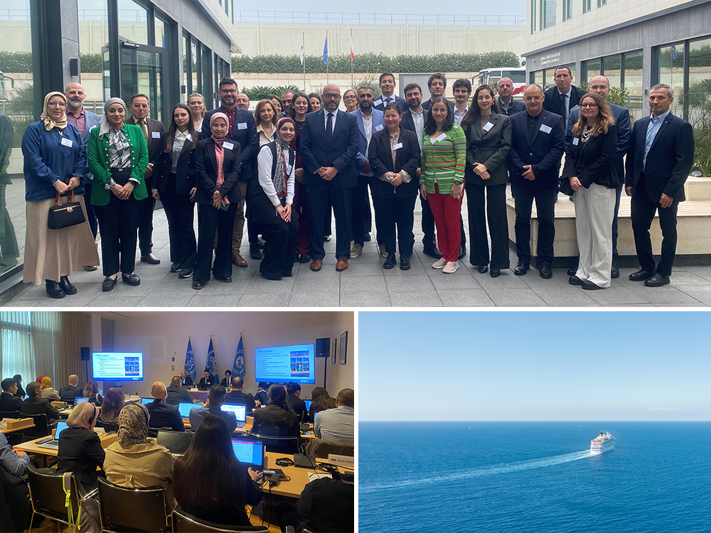 Mediterranean States review plans for possible NOx Emission Control ...