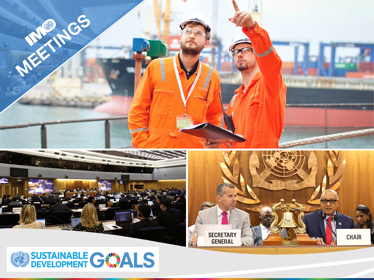 Technical Cooperation Committee Convenes to Revamp Decade Strategy ...